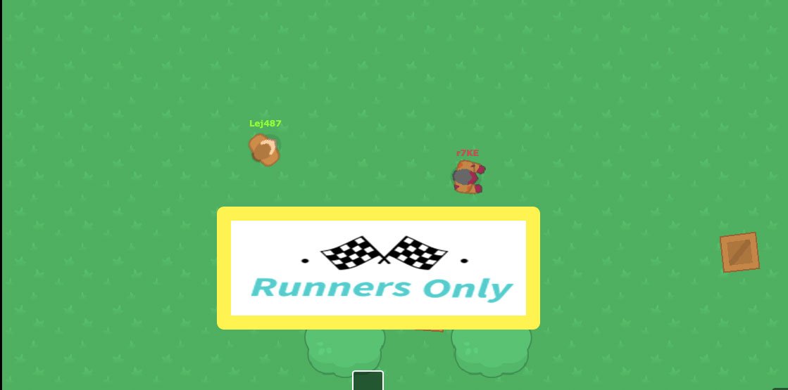 Play Run or Die - Top IO games on Modd.io